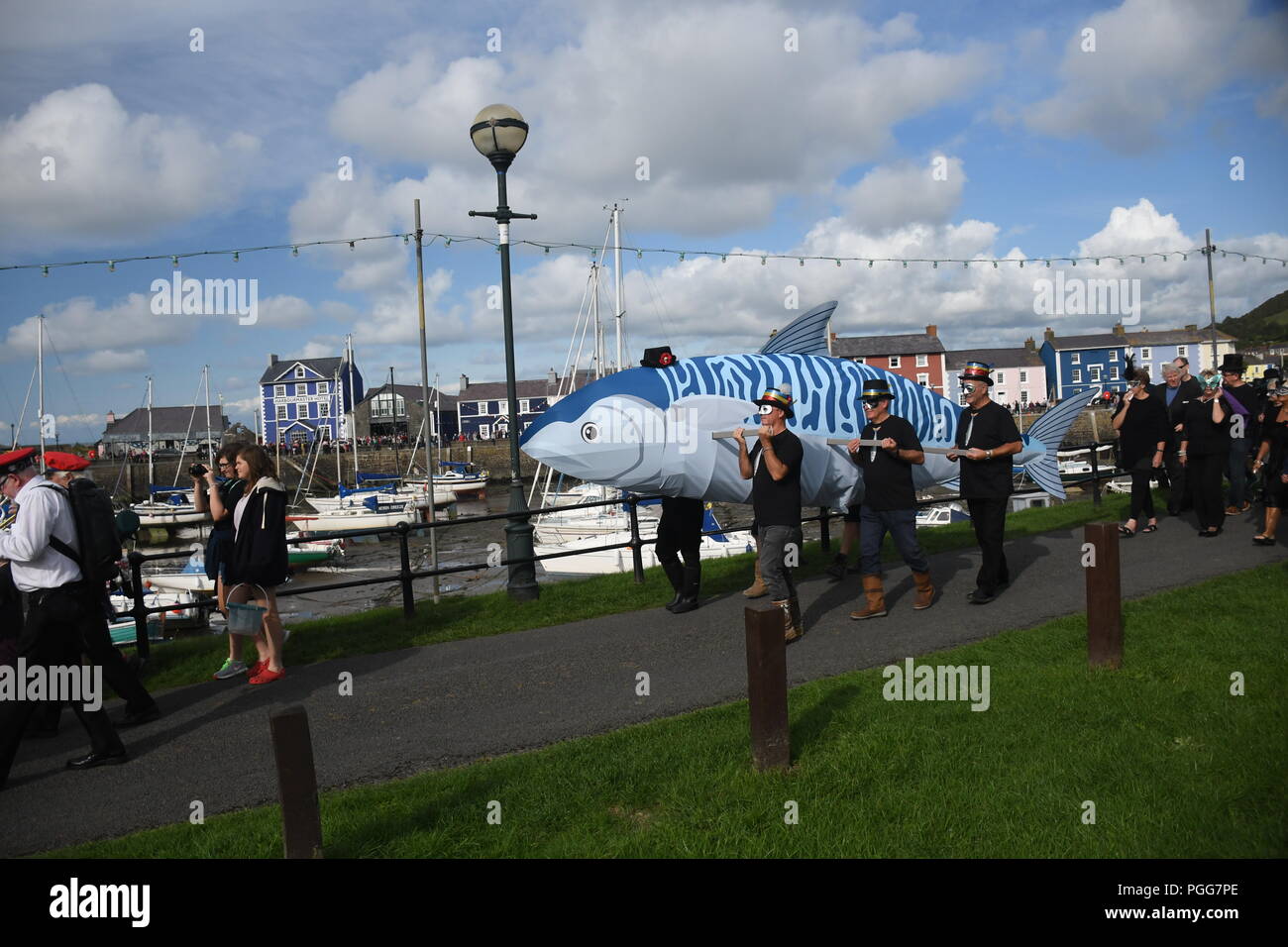 harbor Aberaeron WEST WALES UK bands and a parade led by a 20-foot fish ...
