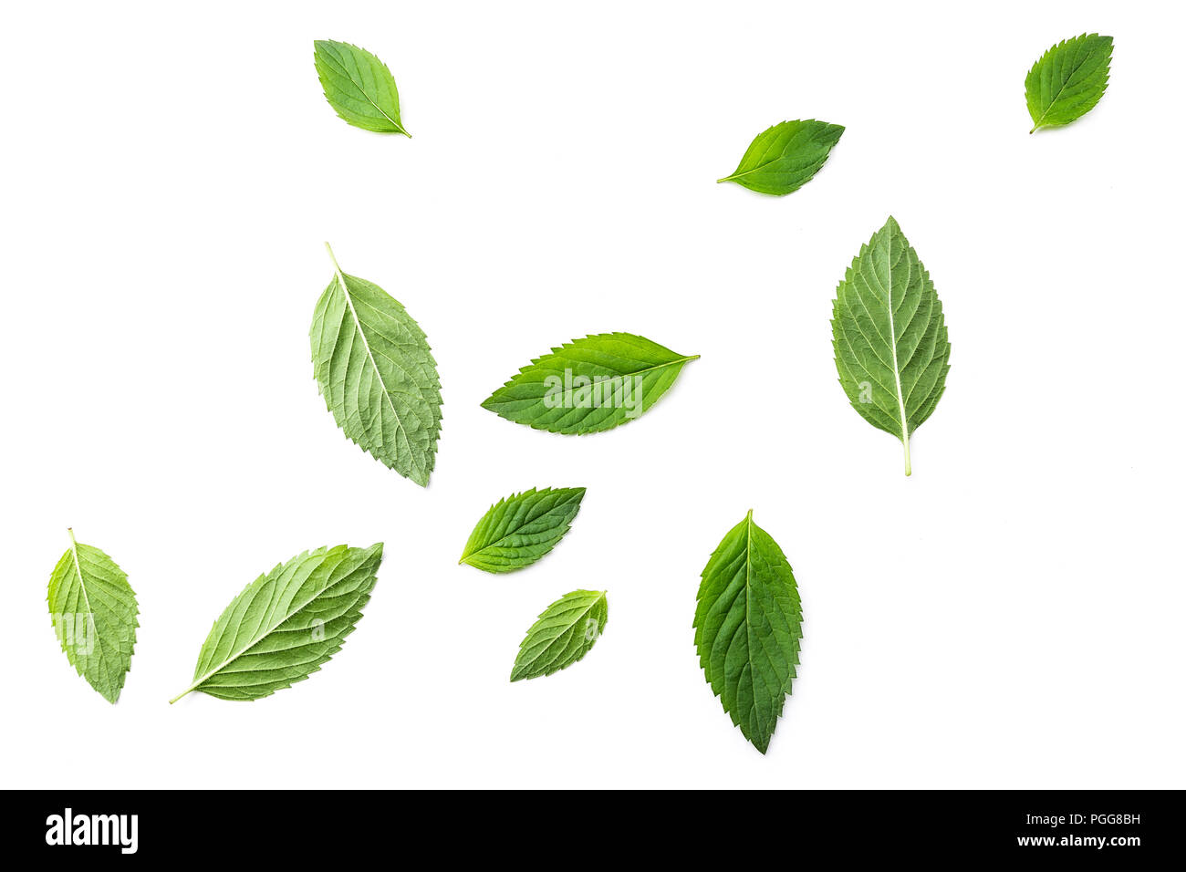 Flying mint leaves over white background Stock Photo - Alamy