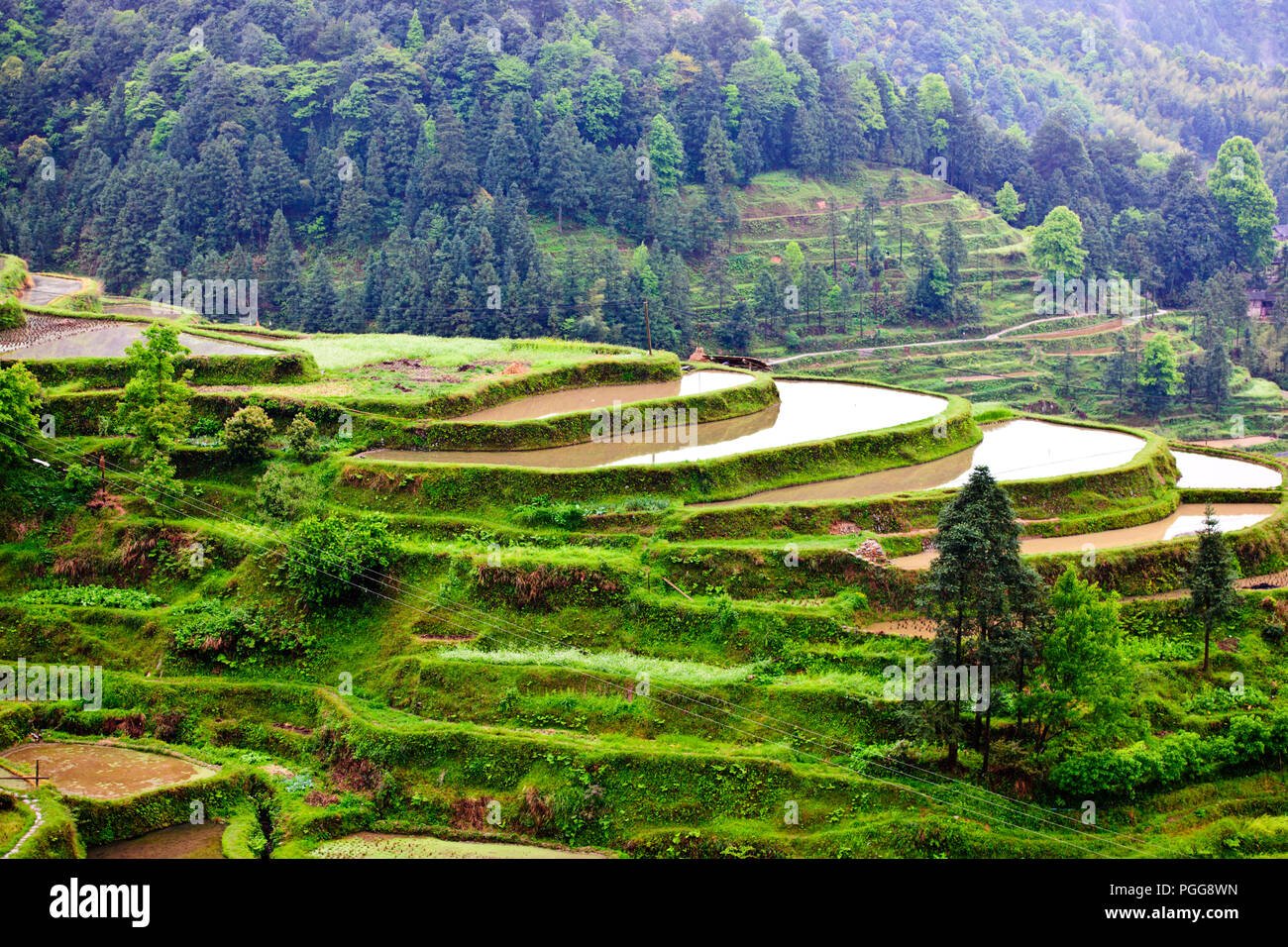 Locals,Farmers,Rice terraces,Drum Tower,Old Architecture,Dong Village ...