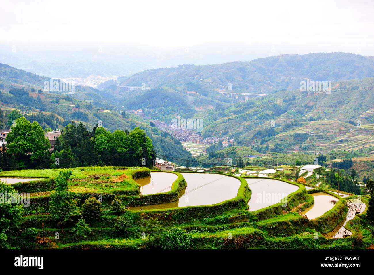 Fish farming in rice paddies hi-res stock photography and images - Alamy