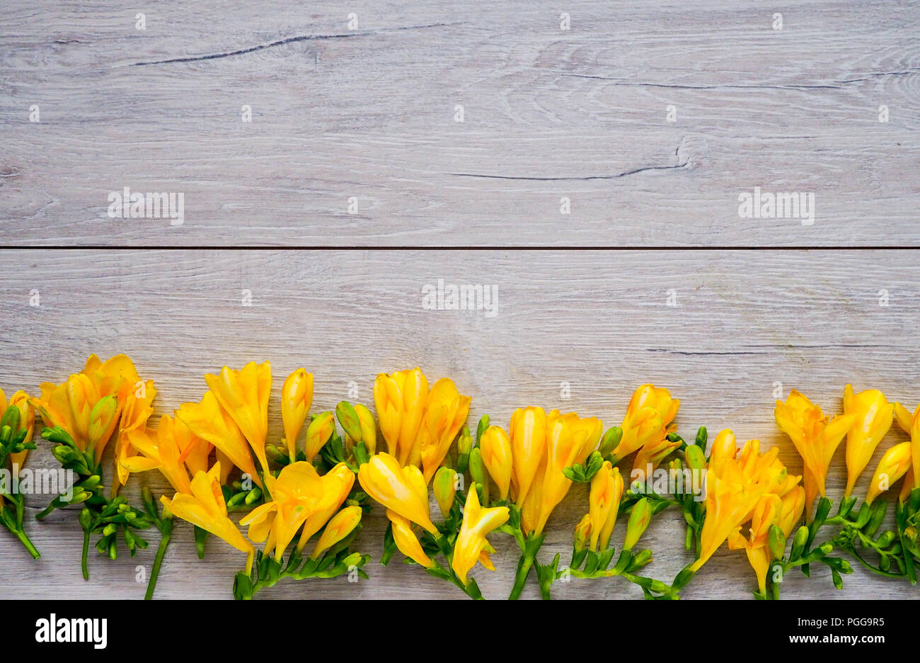 yellow irises on a wooden background, as an underlay, background ...