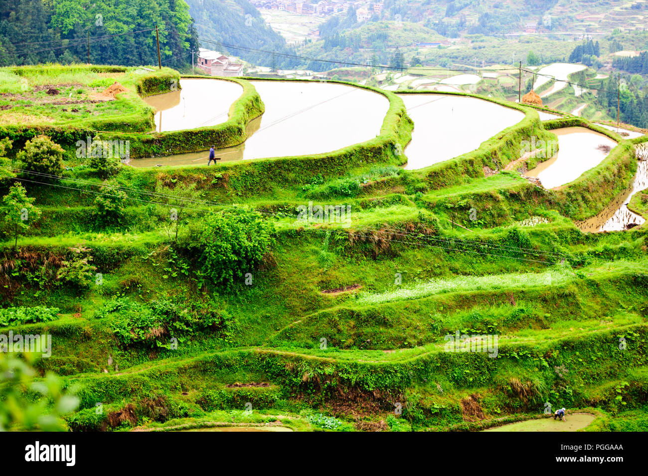 Locals,Farmers,Rice terraces,Drum Tower,Old Architecture,Dong Village ...