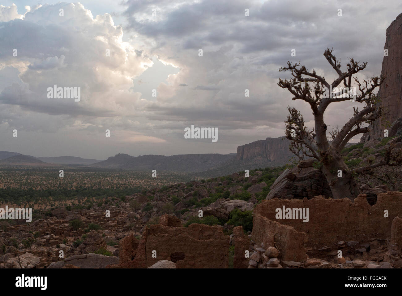Sahel landscape with baobab and mud buildings near the Bandiagara ...
