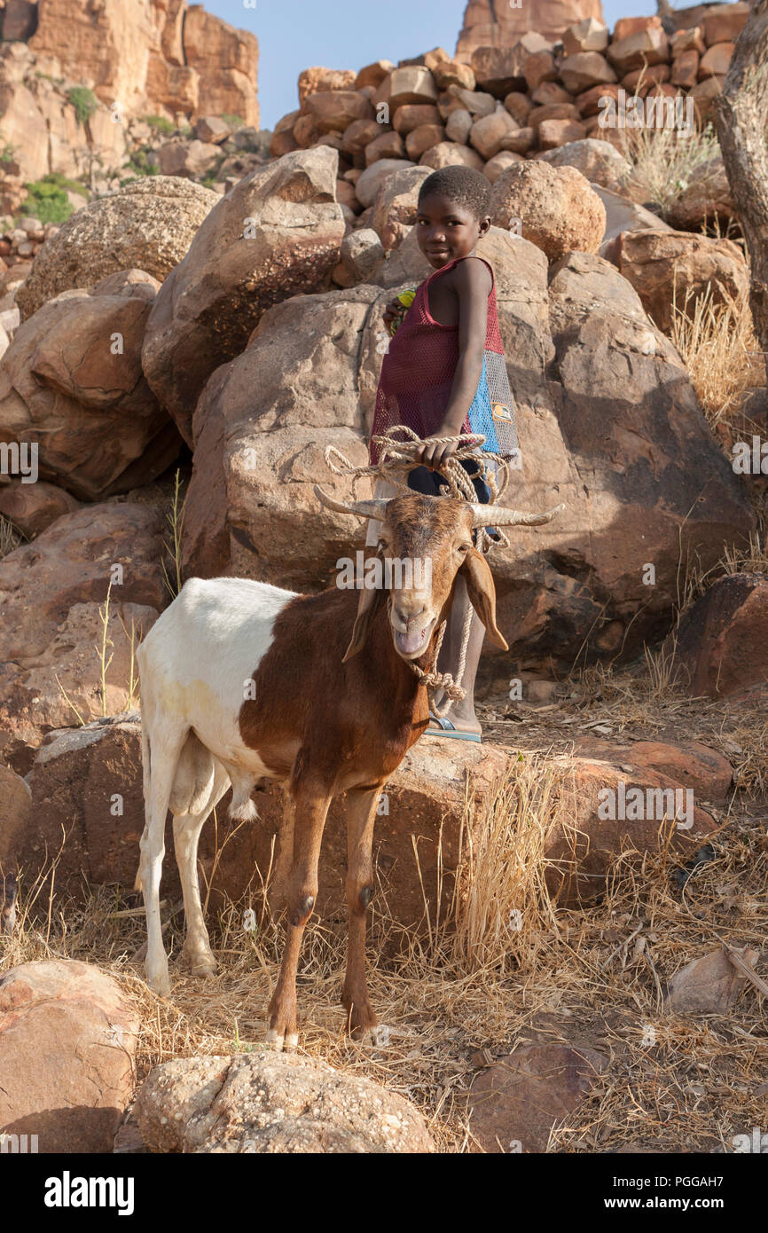 Boy shepherd hi-res stock photography and images - Alamy
