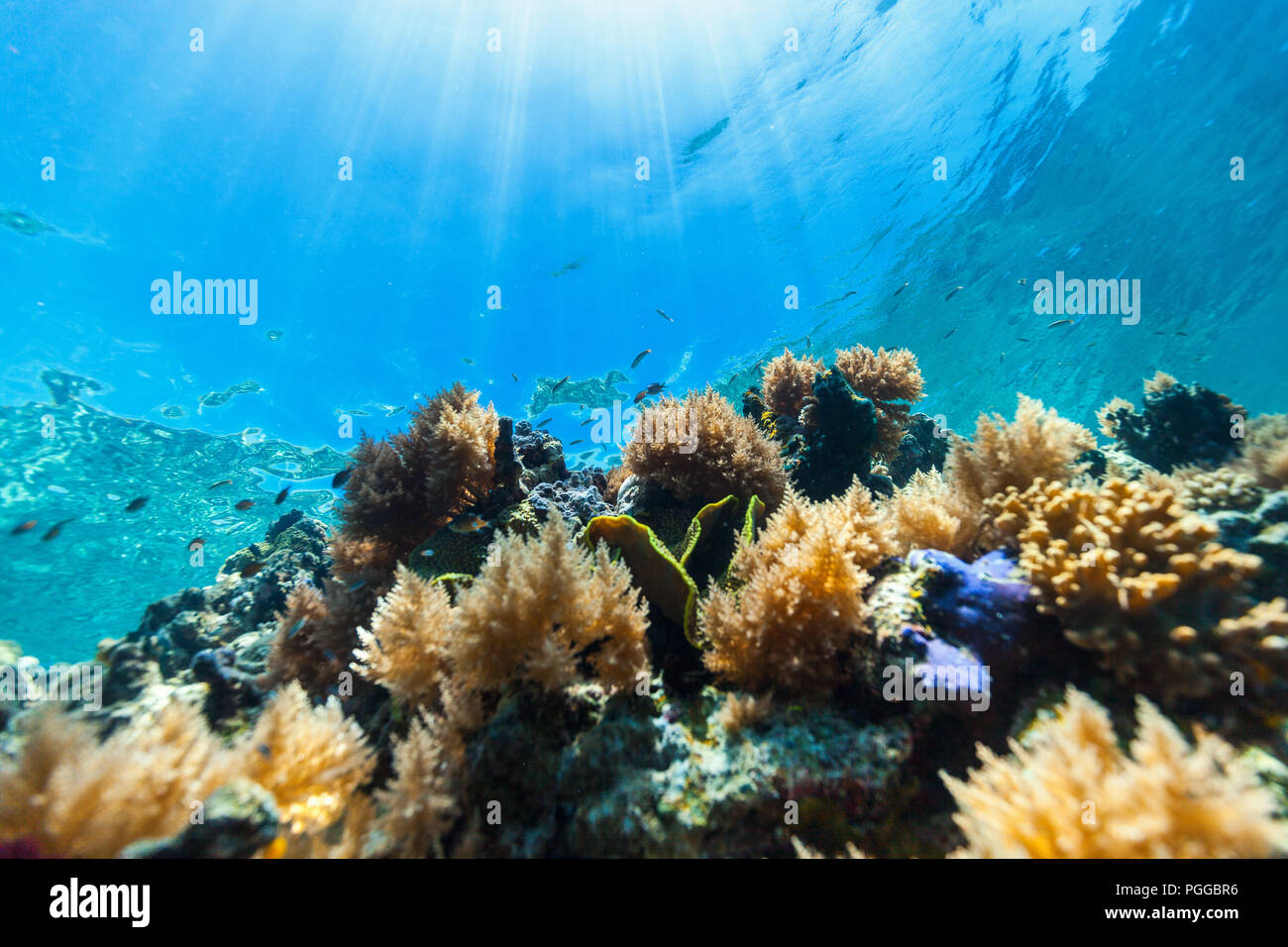 Maldives palau hi-res stock photography and images - Alamy