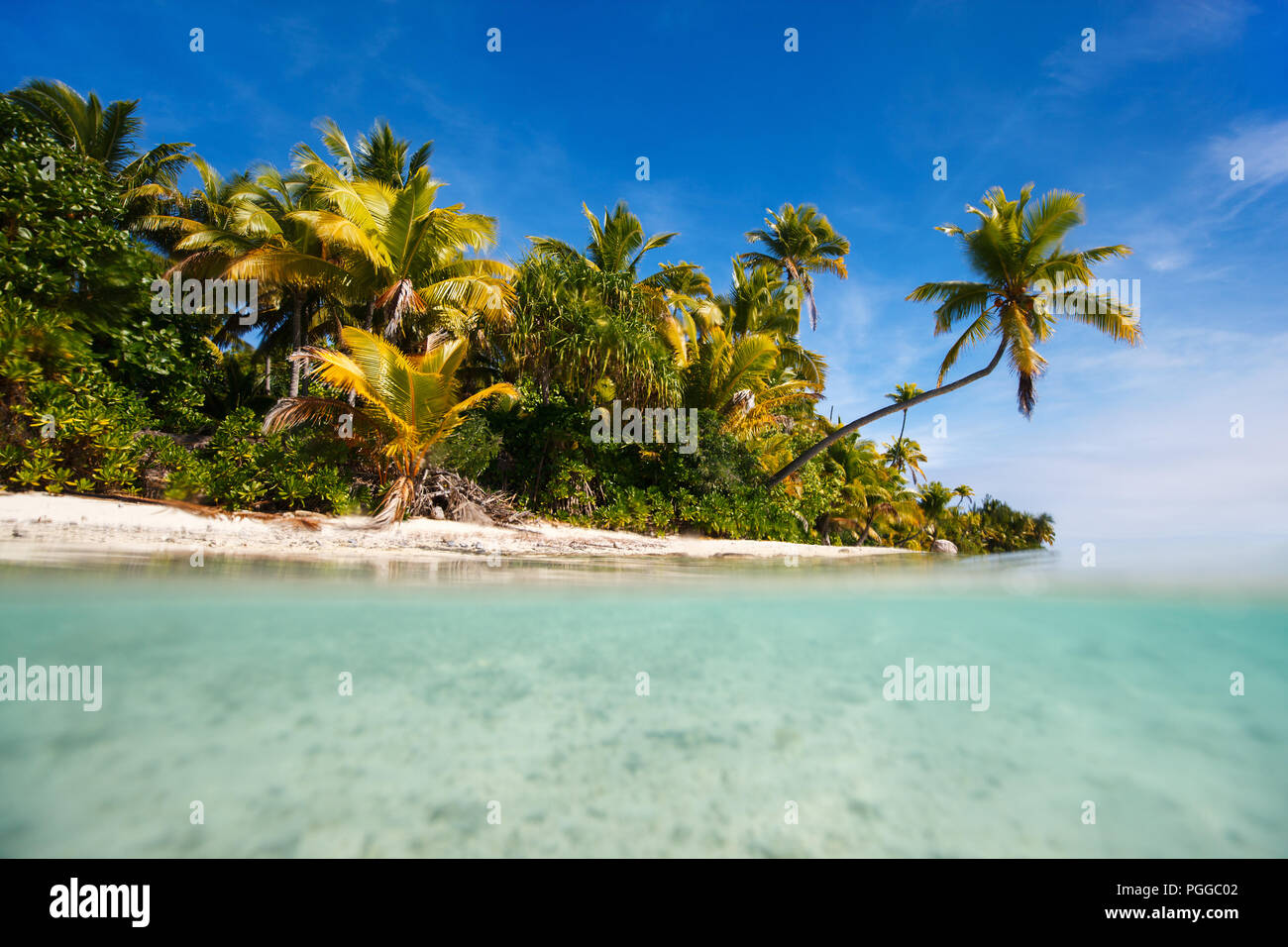 Stunning tropical Aitutaki One Foot island with palm trees, white sand ...