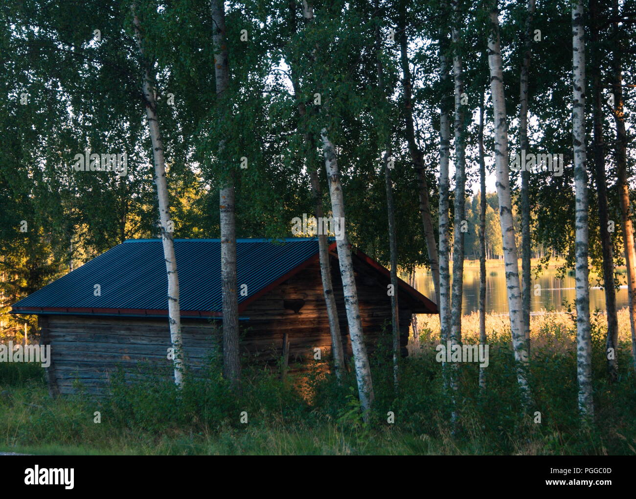 An old traditional swedish barn Stock Photo - Alamy