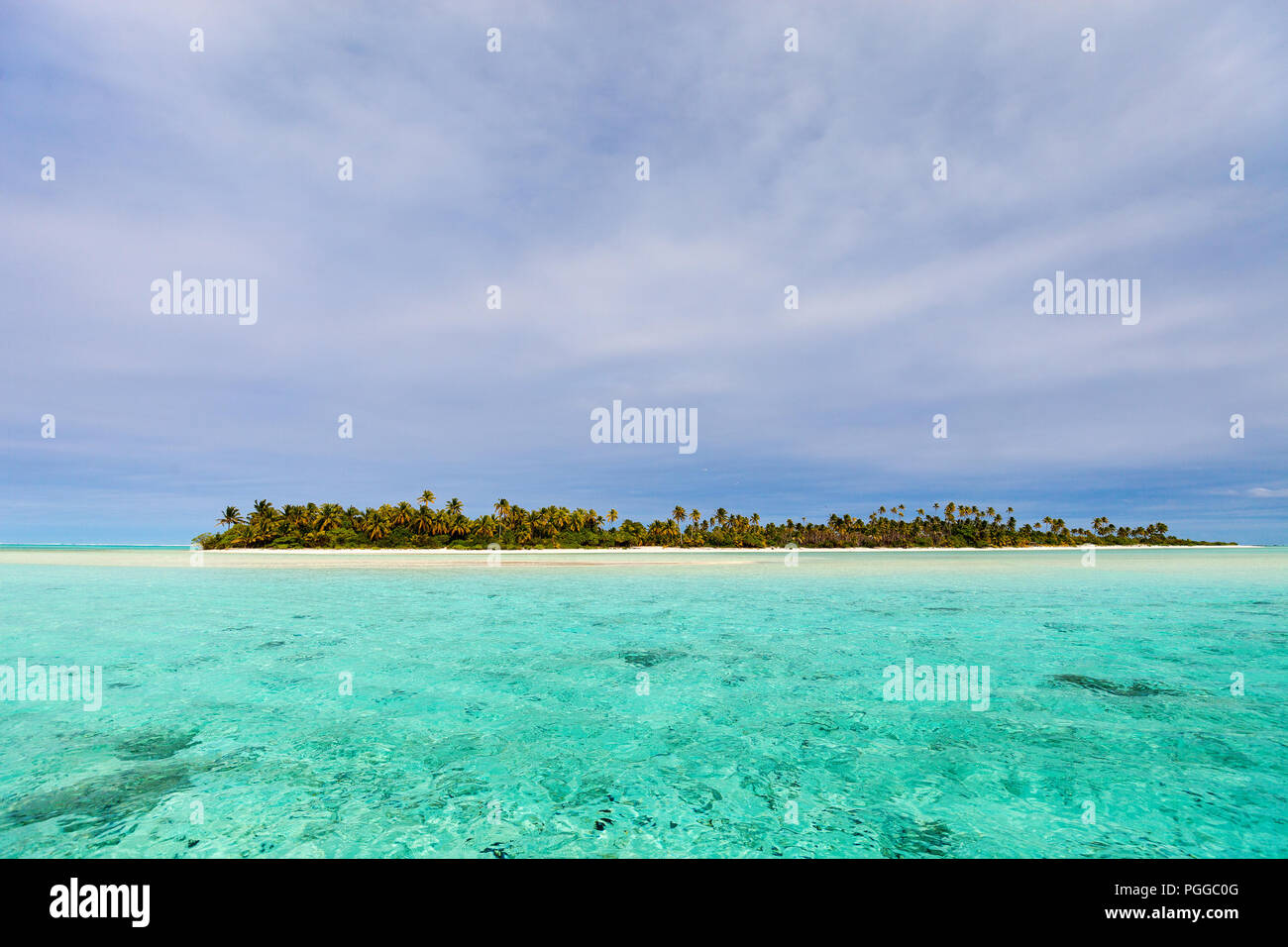 Stunning tropical Aitutaki One Foot island with palm trees, white sand ...