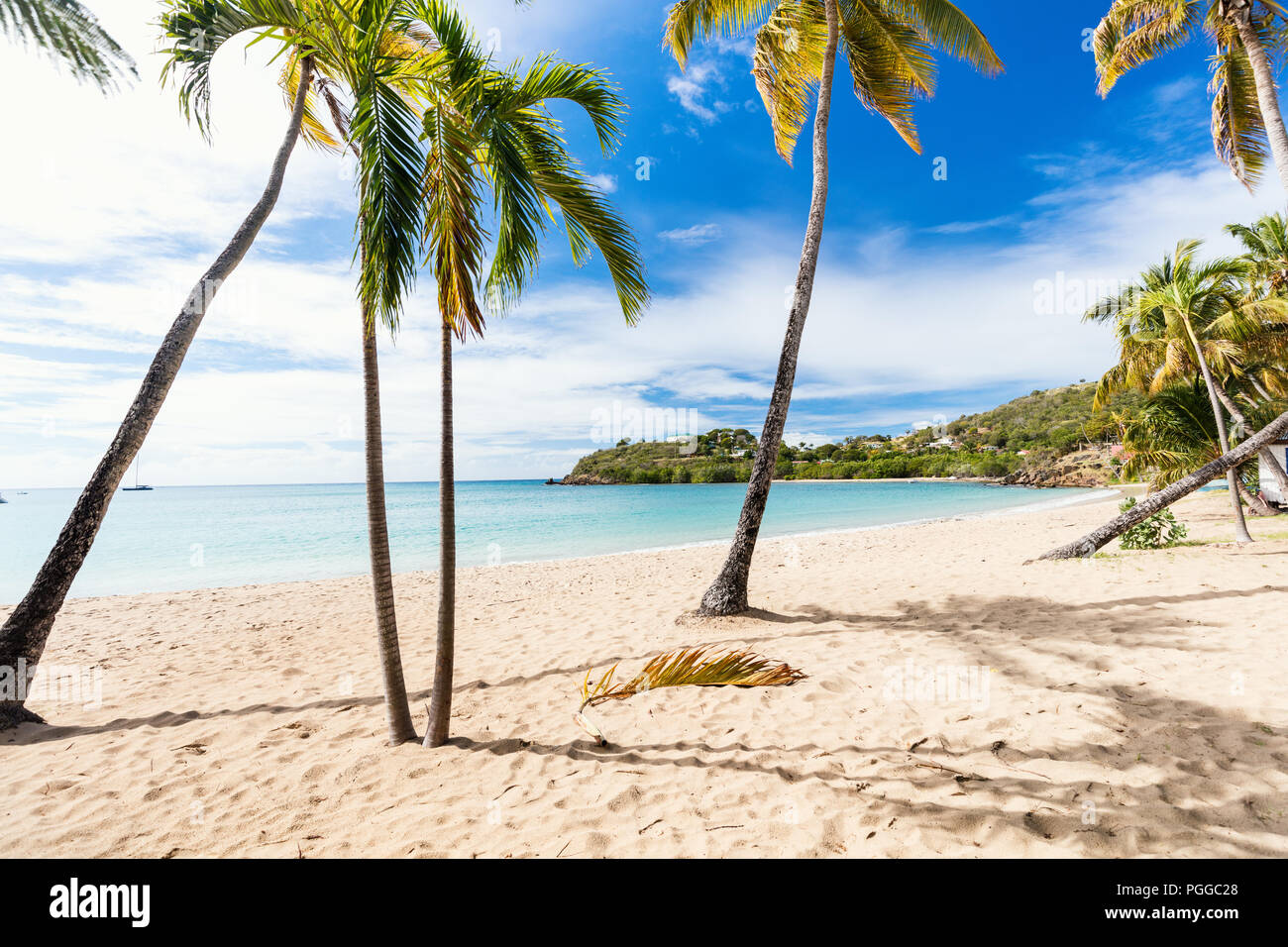 Idyllic tropical Carlisle bay beach with white sand, turquoise ocean ...