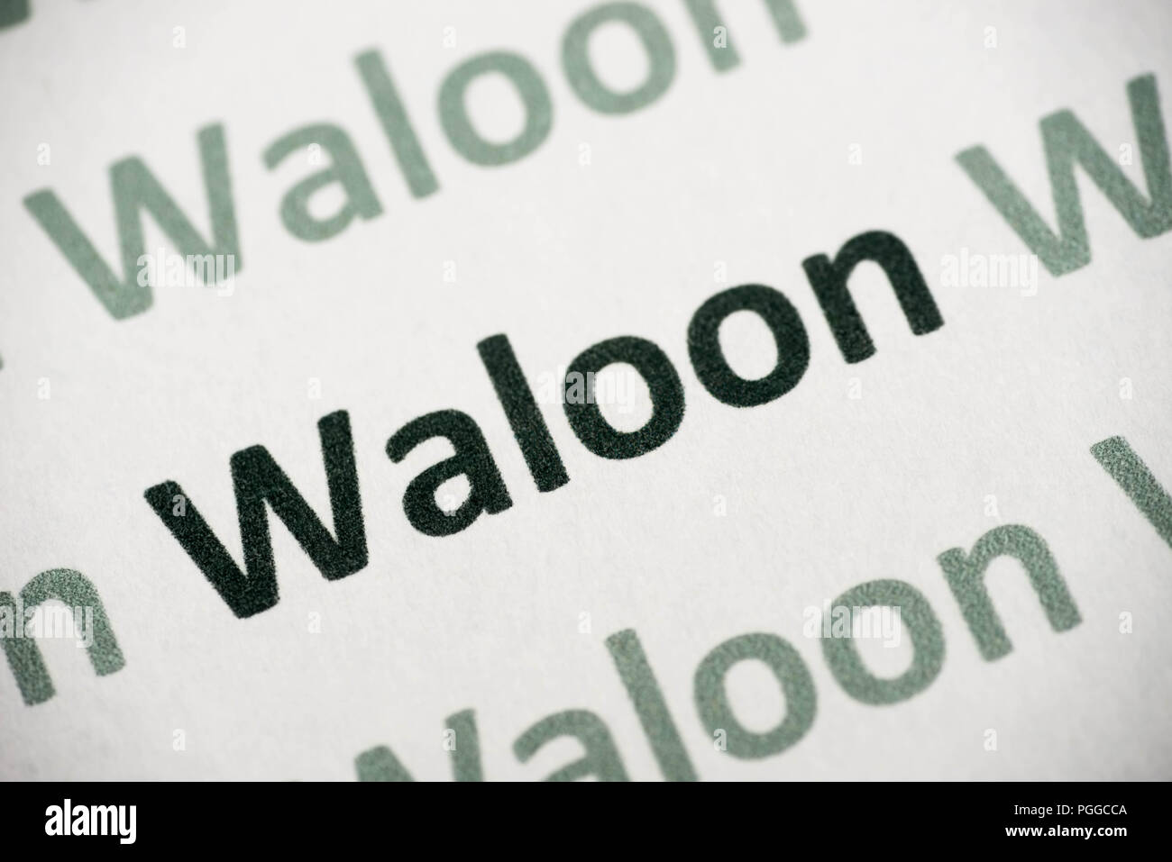 word Waloon language printed on white paper macro Stock Photo - Alamy
