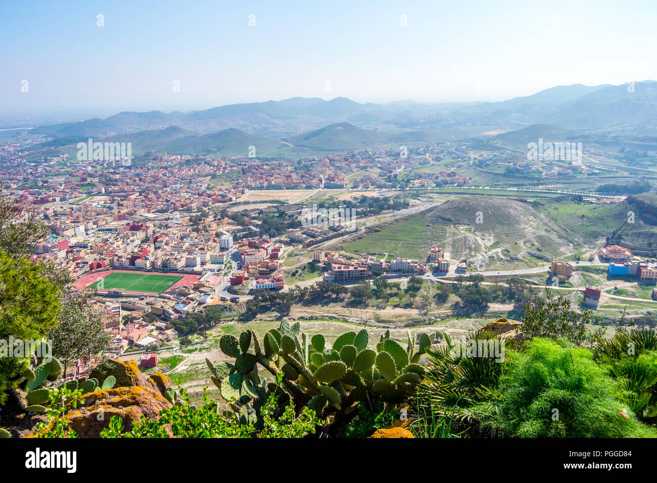Day in forest of oujda Stock Photo - Alamy