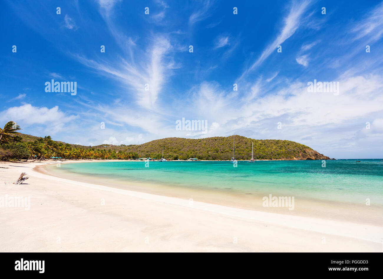 Idyllic tropical beach with white sand, palm trees and turquoise ...