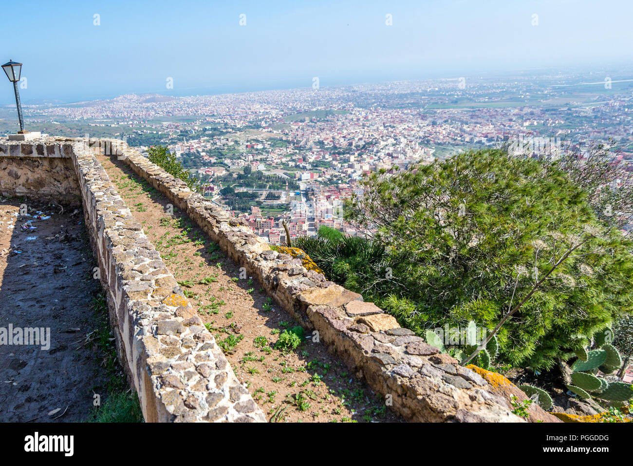 Day in forest of oujda Stock Photo - Alamy