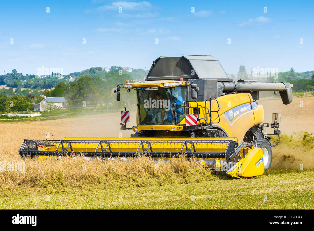 New Holland CR9080 combine harvesting a field of alfalfa - France Stock ...