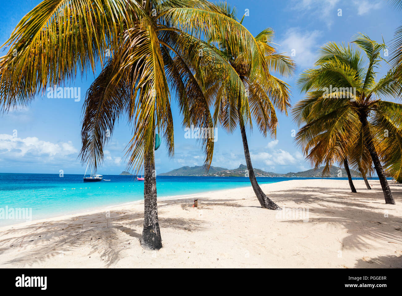 Idyllic tropical beach with white sand, palm trees and turquoise ...