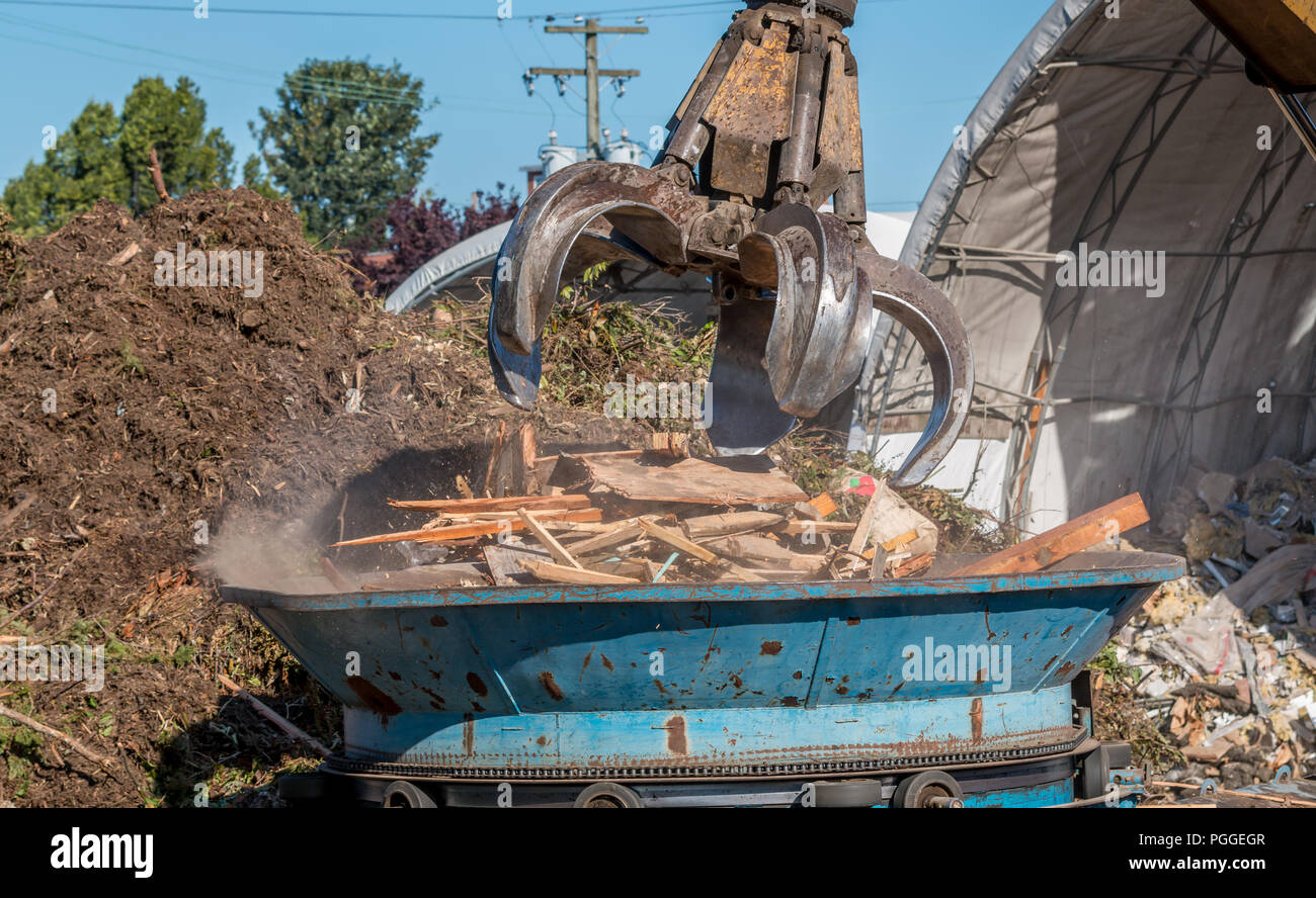 Construction wood waste grappled into a drum grinder to be ground into ...