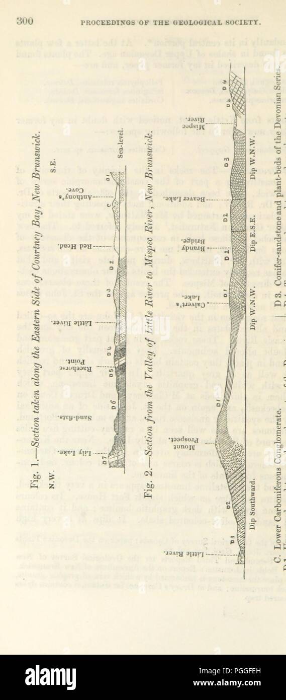 Devonian period flora hi-res stock photography and images - Alamy