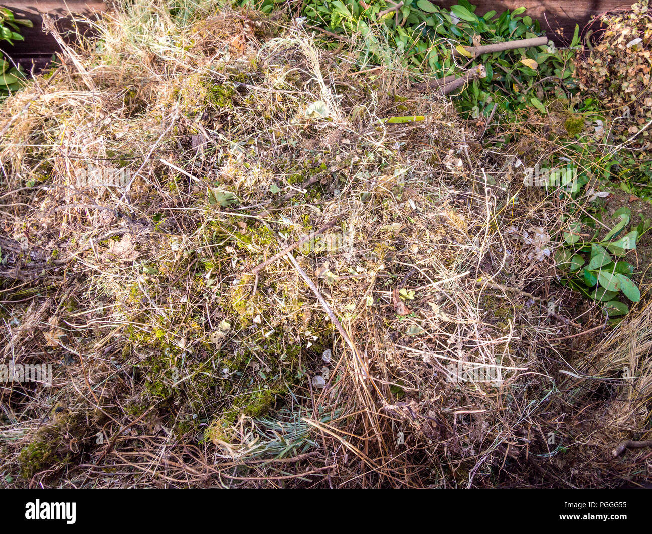 Recycling grass hi-res stock photography and images - Alamy