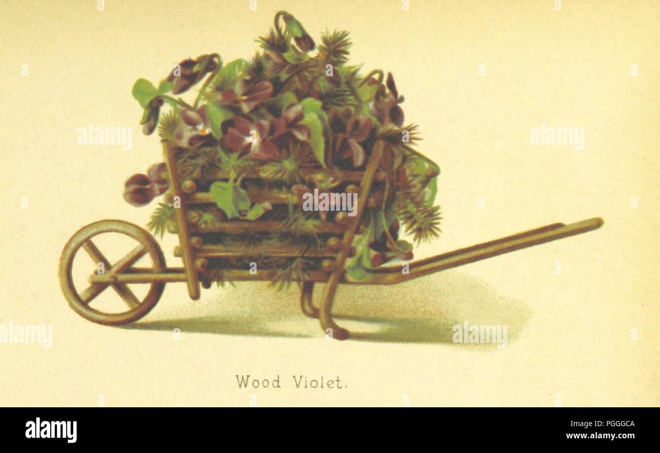 Artistic language flowers illustrations image hi-res stock photography ...