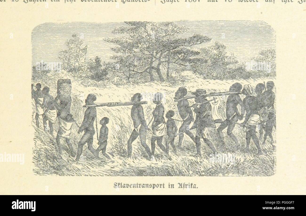 Image from page 131 of 'Der Mensch, sein Ursprung, seine Rassen und sein Alter, etc' Stock Photo ...