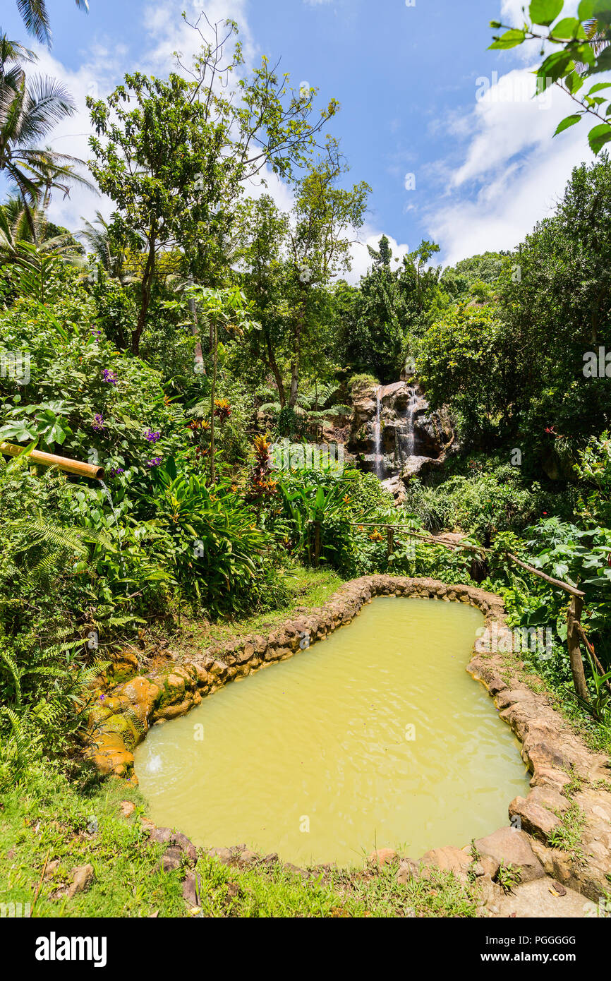 Beautiful landscape of mud bath and waterfalls on St Lucia island in ...