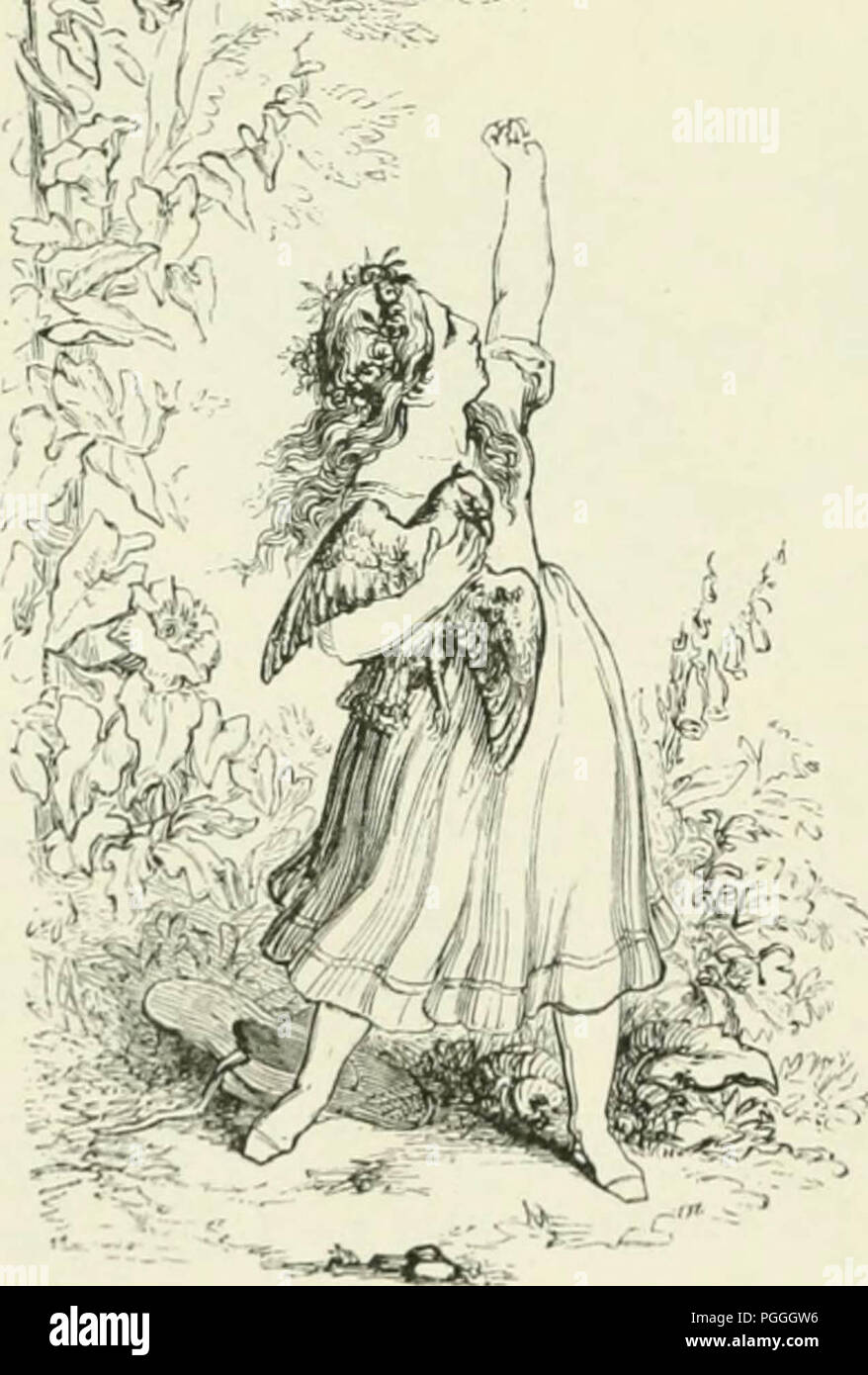 Fairy tale studies hi-res stock photography and images - Alamy