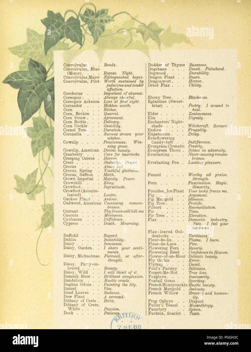 Artistic language flowers illustrations image hi-res stock photography ...