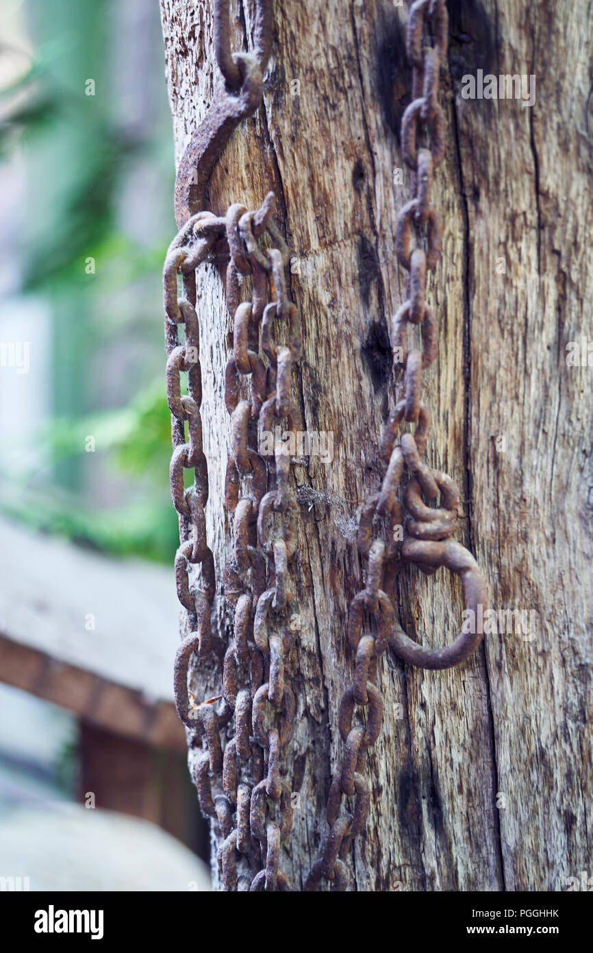 chain hanging on a tree Stock Photo - Alamy