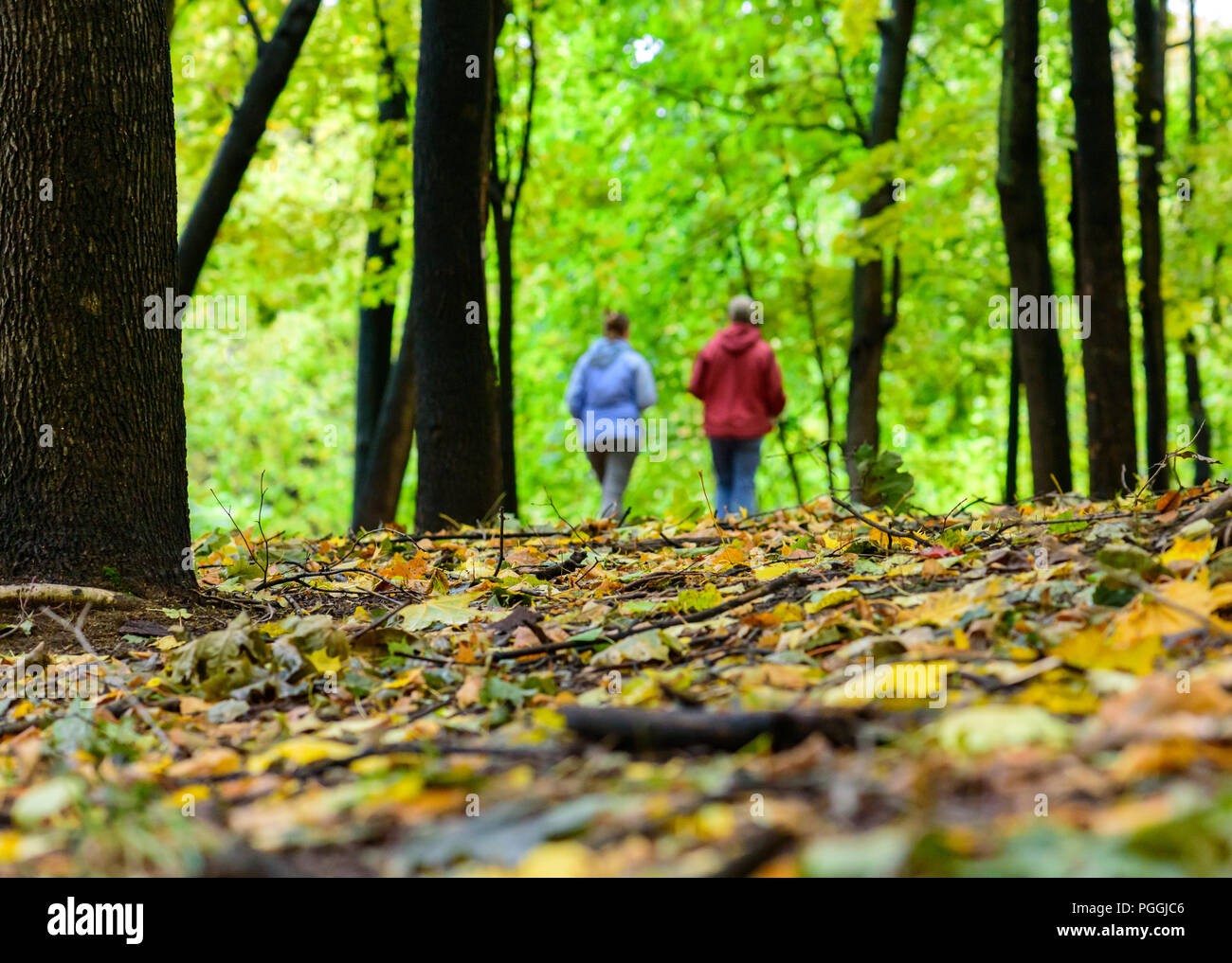 Elderly walk away hi-res stock photography and images - Alamy