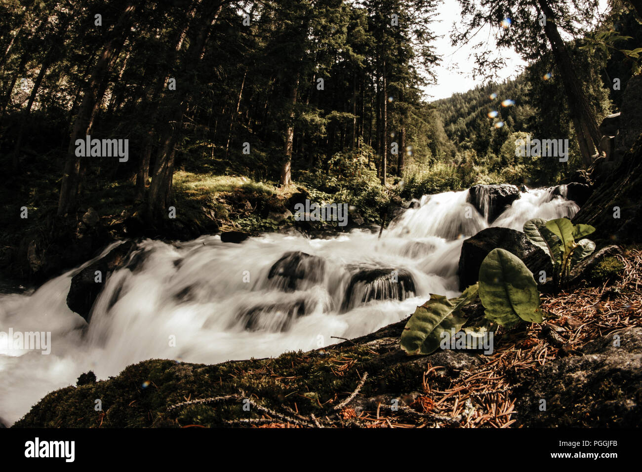 Stormy water, and tree hi-res stock photography and images - Alamy