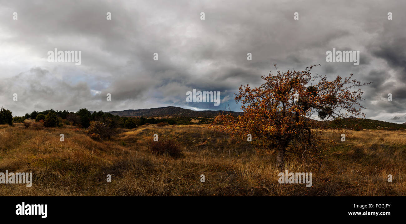 Autumn landscape panorama with grey dramatic sky Stock Photo - Alamy