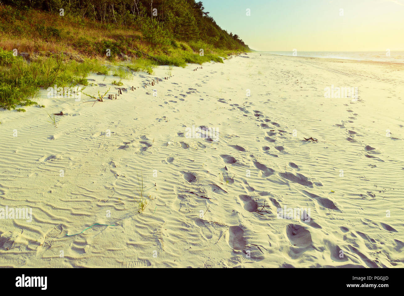 Beautiful empty Baltic beach with footprints in sand. Scenic picturesque summer seascape. Baltic ...
