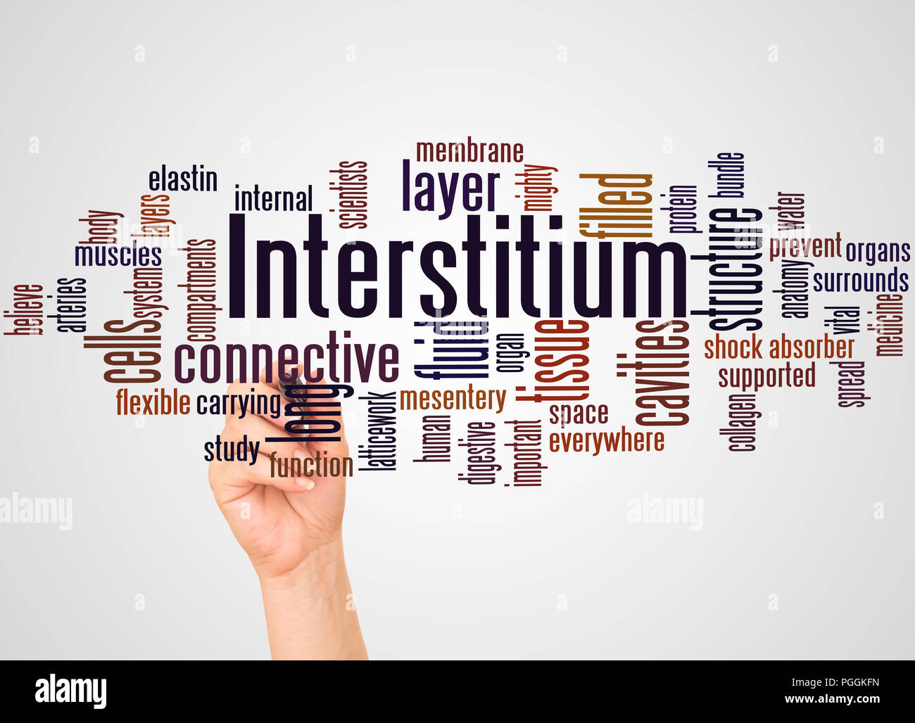 Interstitium (new organ discovered in human body) word cloud and hand ...