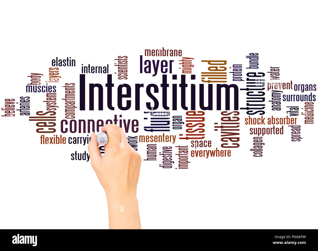 Interstitium (new organ discovered in human body) word cloud and hand ...