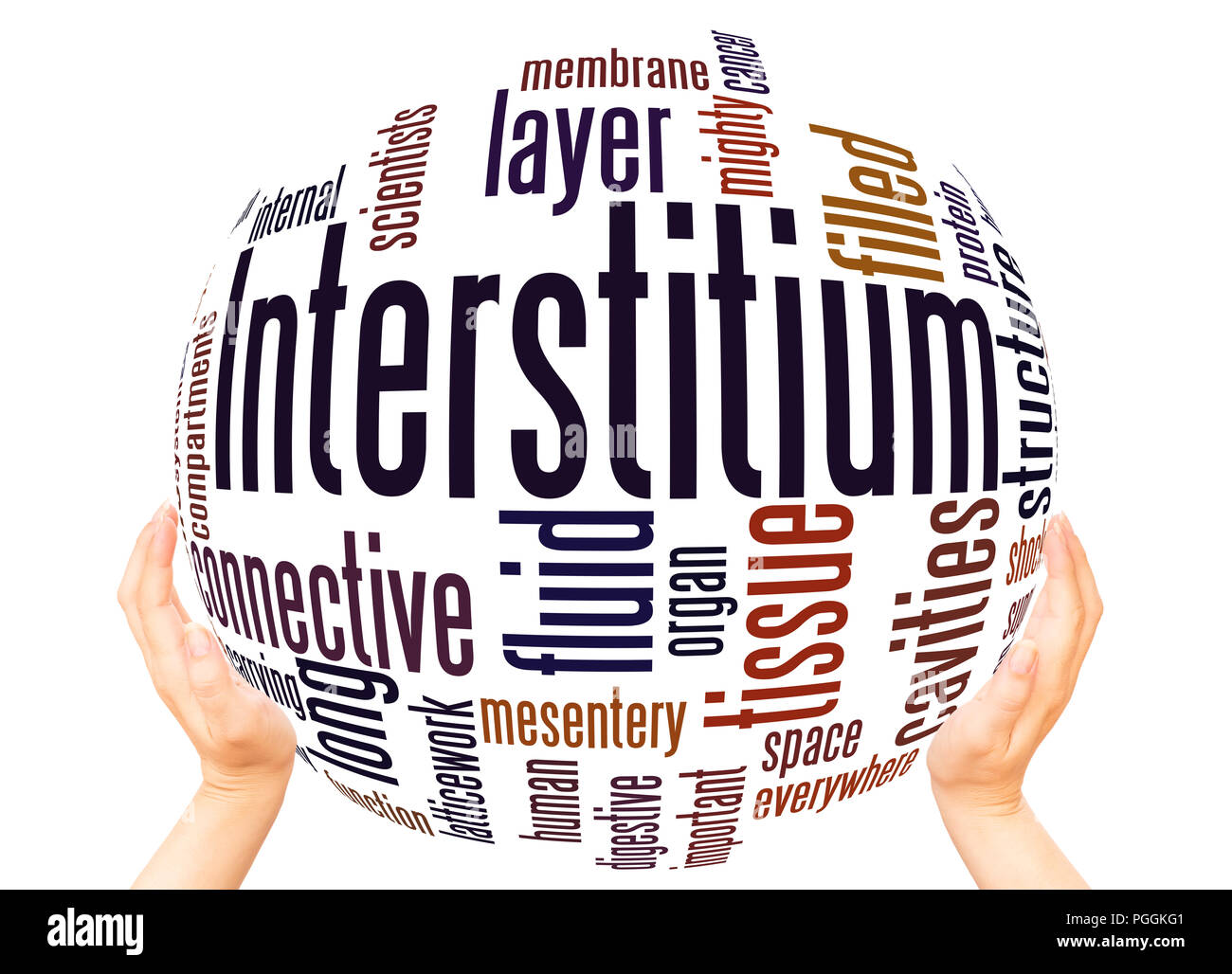 Interstitium (new organ discovered in human body) word cloud sphere ...