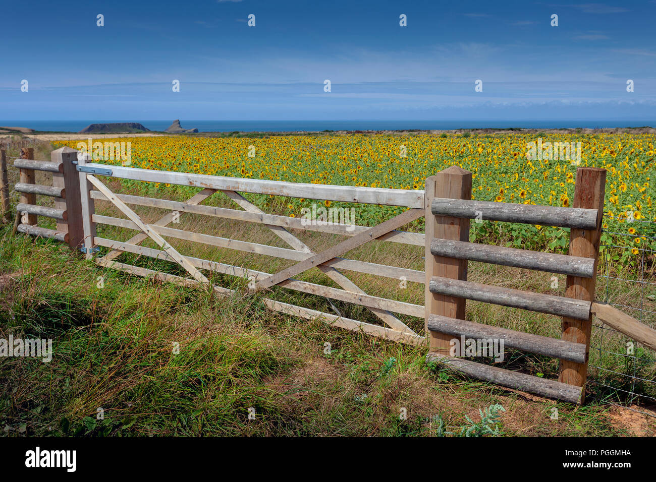 Rustic wooden gate hi-res stock photography and images - Alamy