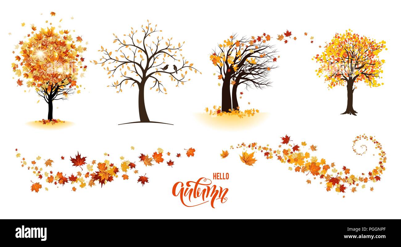 Yellow foliage autumn trees Stock Vector Images - Alamy