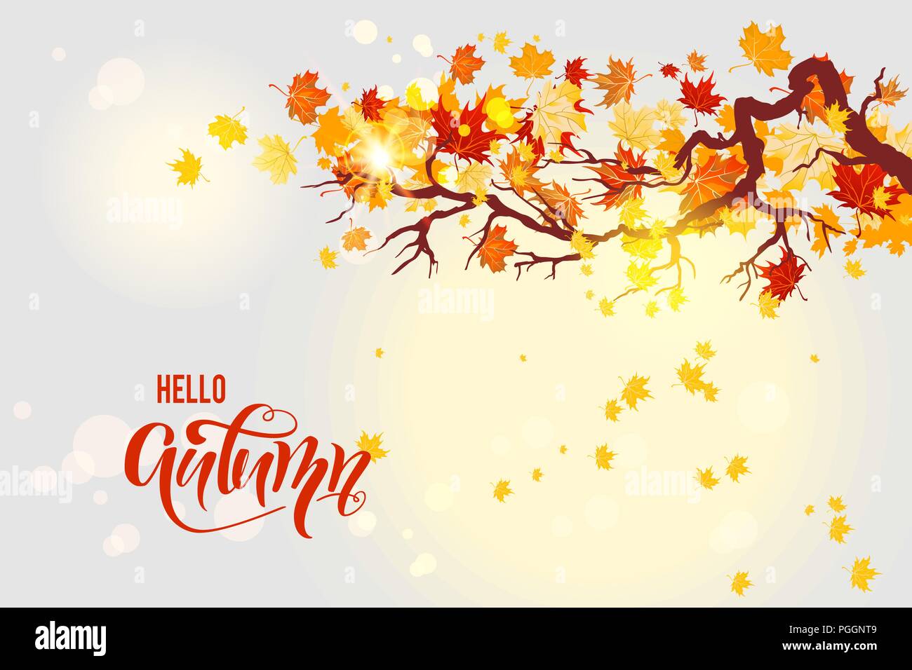 Color maple branch Stock Vector Images - Alamy