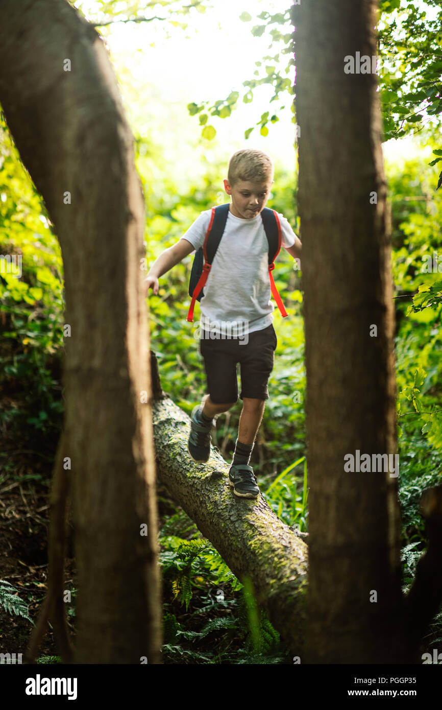 Boy balancing on fallen log Stock Photo - Alamy