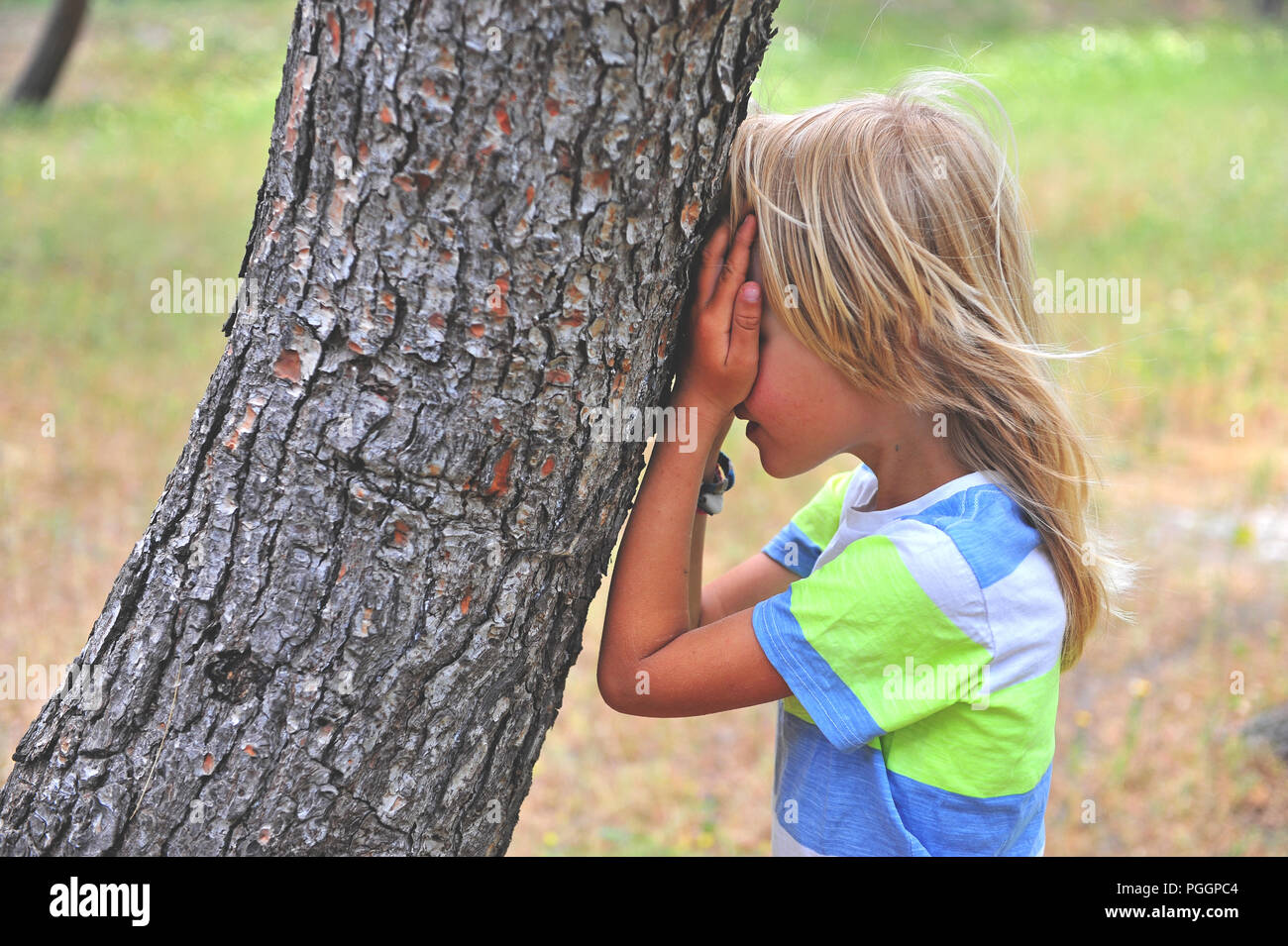 Little kid playing hide and seek at tree Stock Photo - Alamy