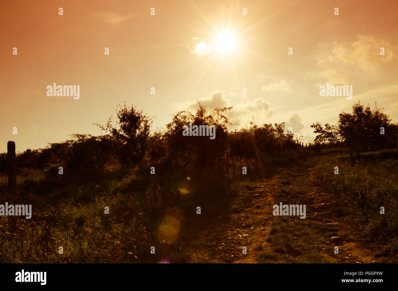 image of rural path at sunset Stock Photo - Alamy