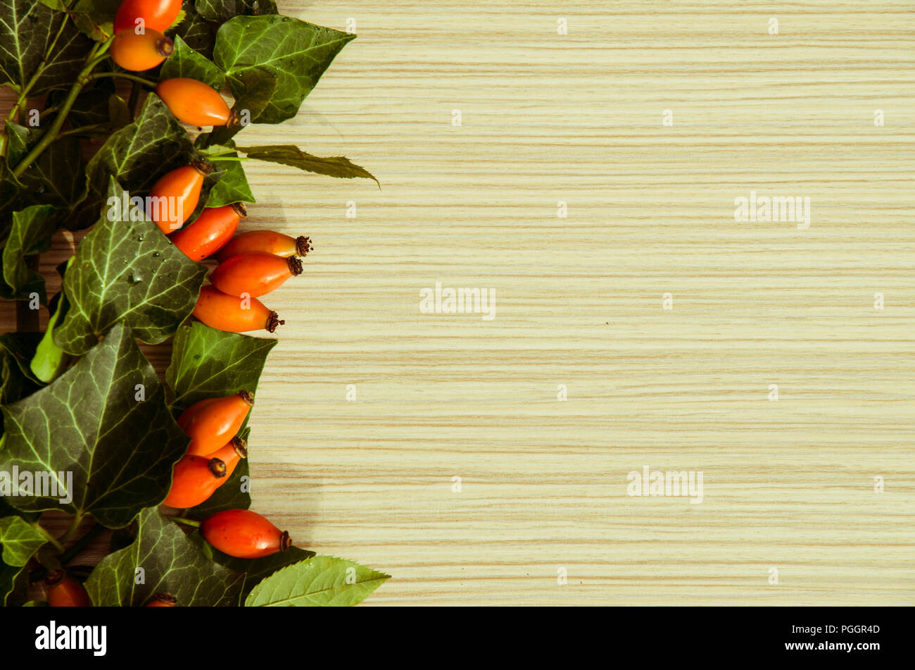orange briar fruits background image Stock Photo - Alamy