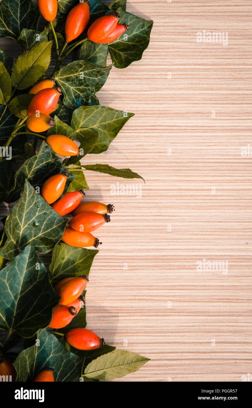 orange briar fruits background image Stock Photo - Alamy