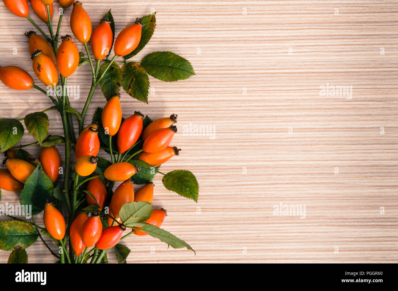 orange briar fruits background image Stock Photo - Alamy