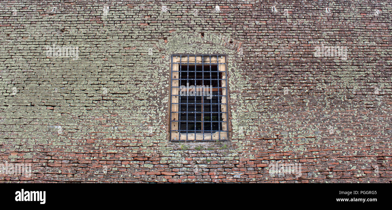 Cell wall hi-res stock photography and images - Alamy