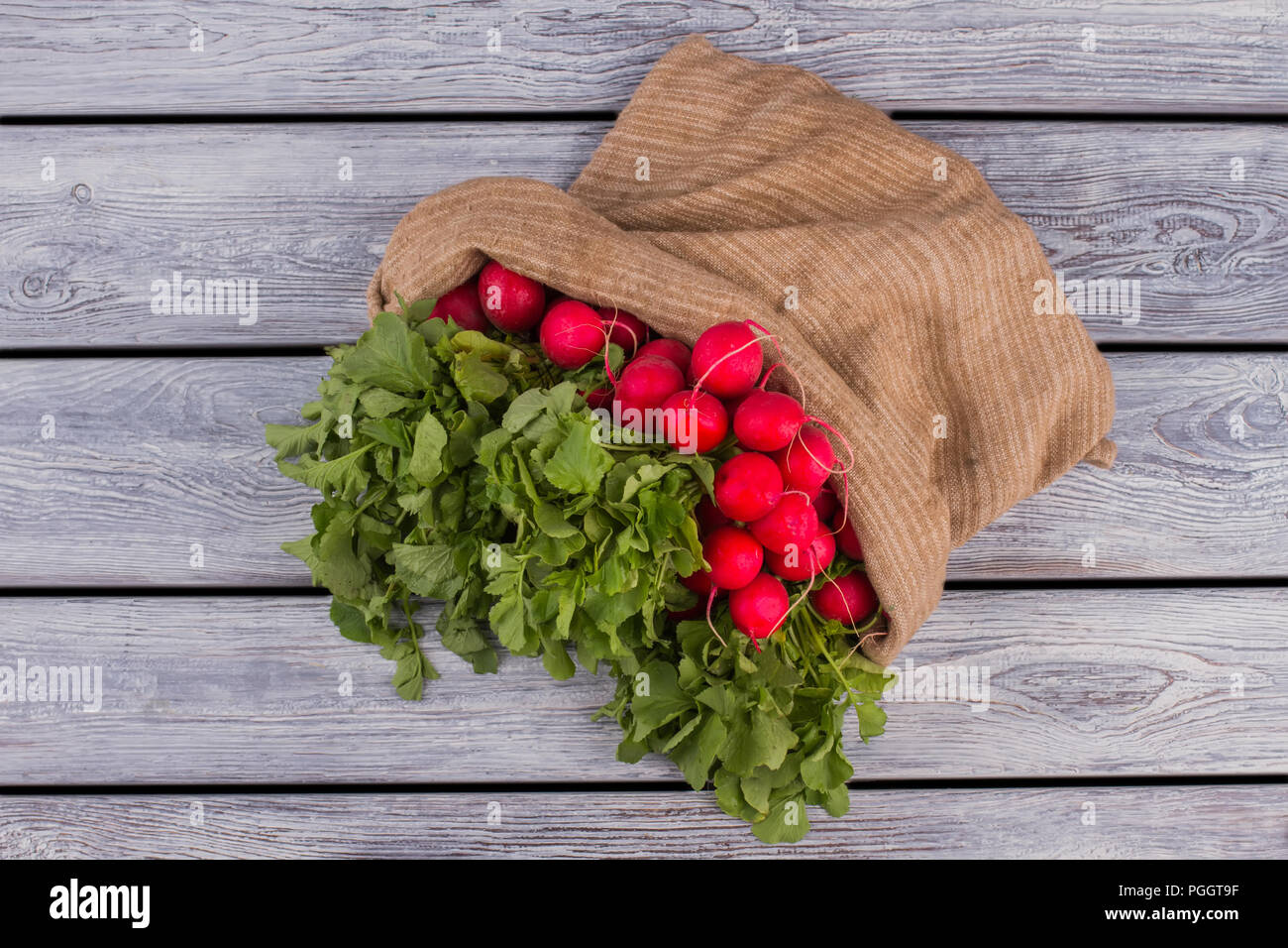 Harvest of radishes in canvas bag. Grey wooden table background Stock ...