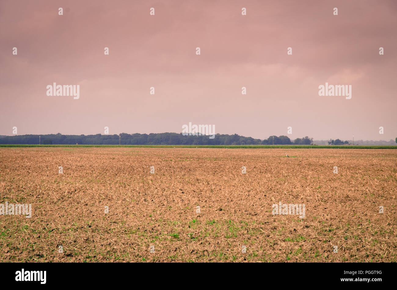 agricultural field at autumn time Stock Photo - Alamy