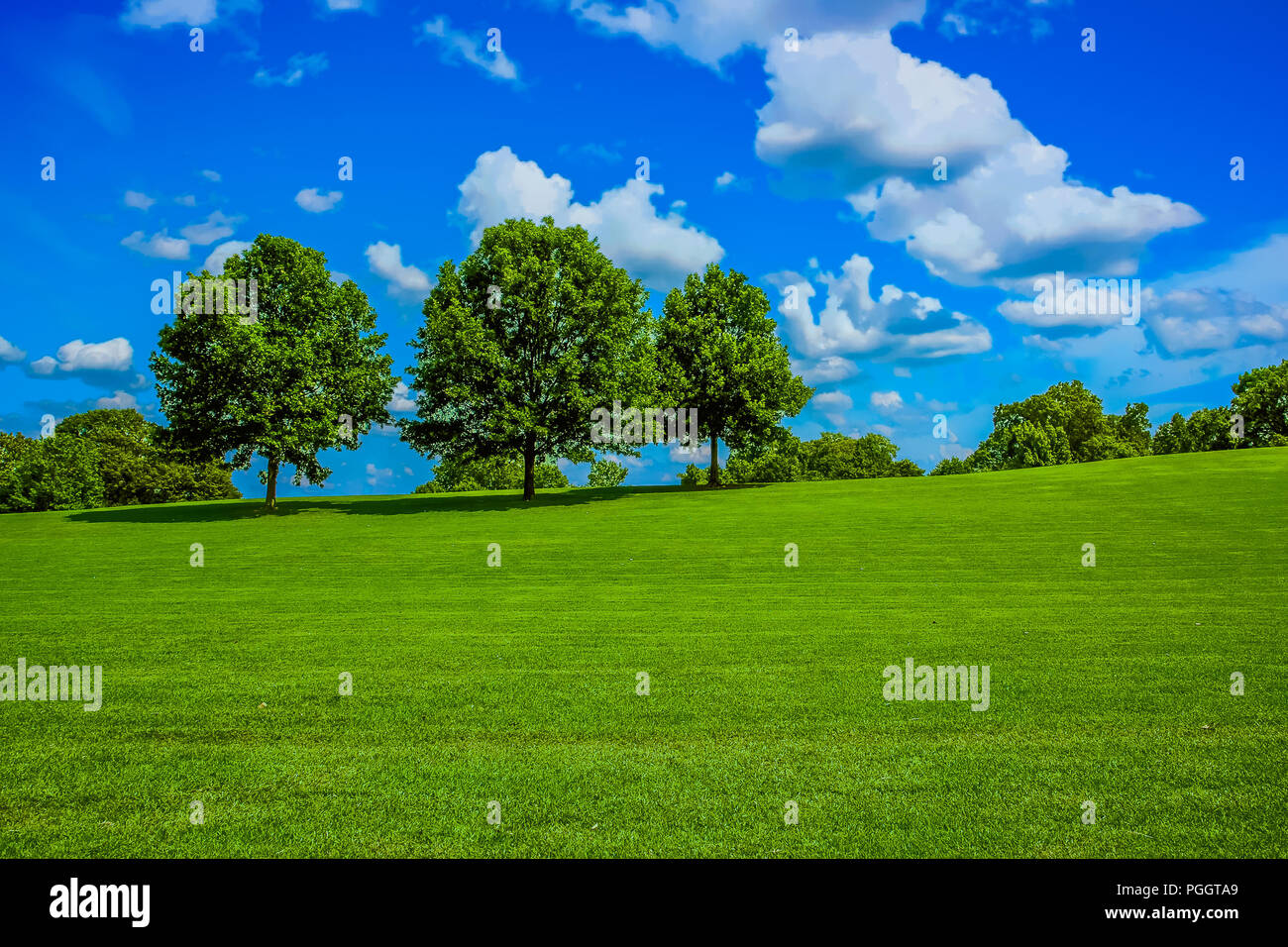 Green grassy hill hi-res stock photography and images - Alamy