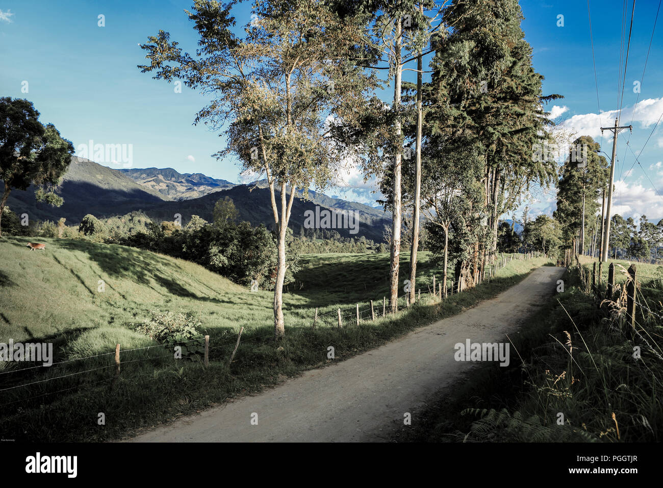 Countryside road in Salento, Colombia Stock Photo - Alamy
