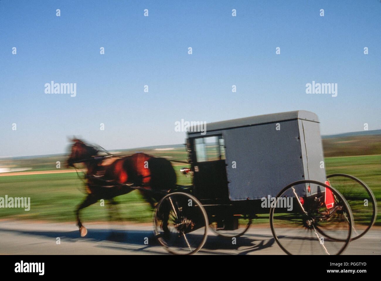 Fast moving Horse Drawn Carriage, Amish Area, PA, USA Stock Photo - Alamy